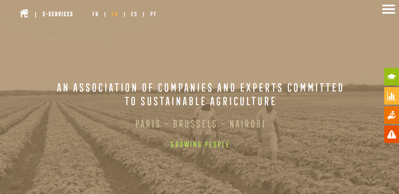 Best Web Developer in Kenya | Mobile Apps | Capenet Global Ltd